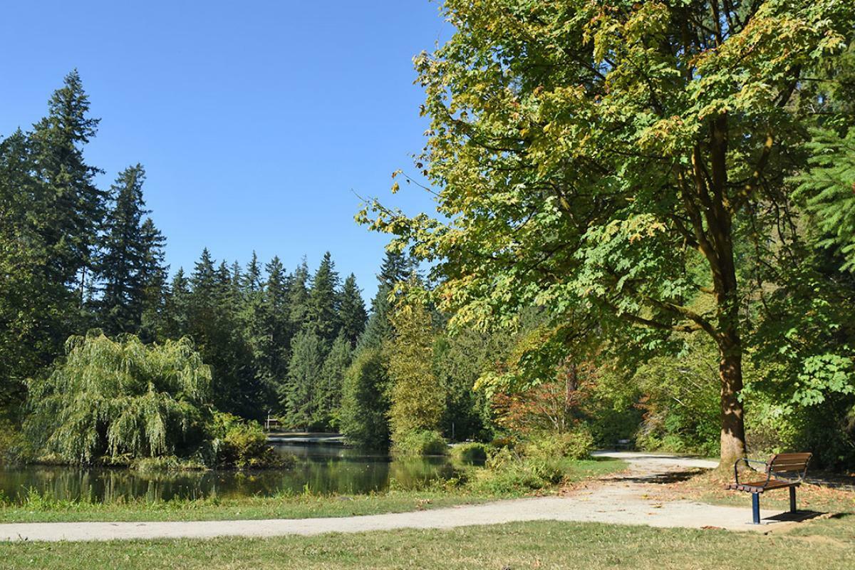 Alcohol-in-parks pilot gets the go ahead
