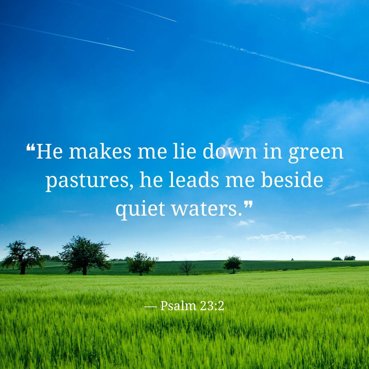 Verse of the Day: Psalm 23:2