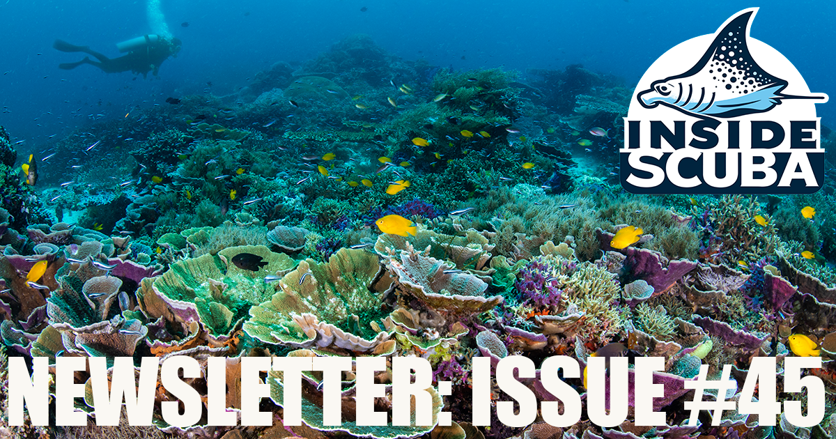 Inside Scuba Issue #45