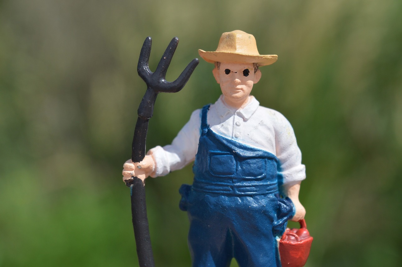 The Double-Edged Threshing Sledge