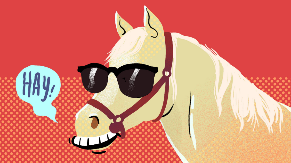 AI is making it possible to talk to animals 🐶