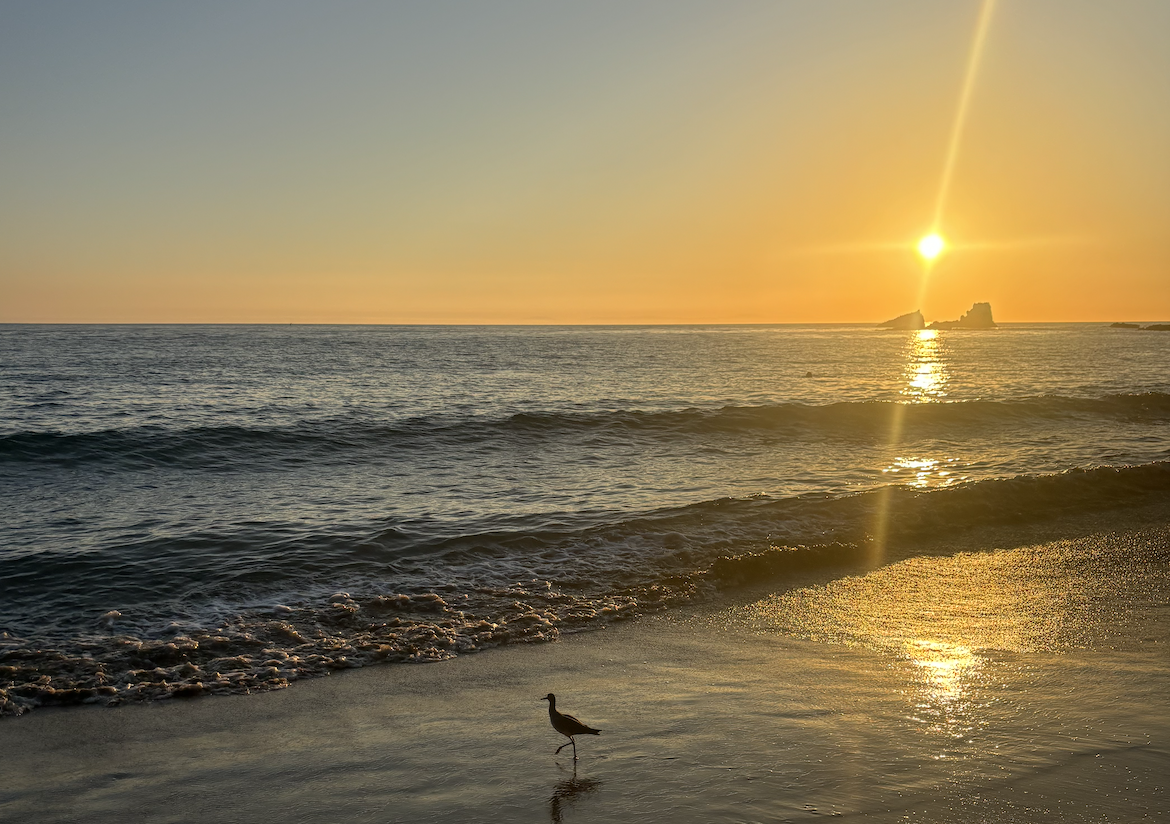 Sunlight and Cancer: What You Need to Know + Smart Sun Exposure Tips