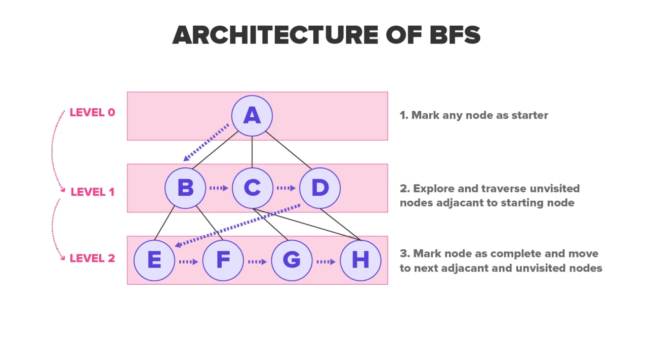 How to Use a Breadth-First Search Algorithm