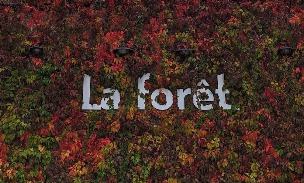 La Foret is hiring for 40 positions for their new Coquitlam location