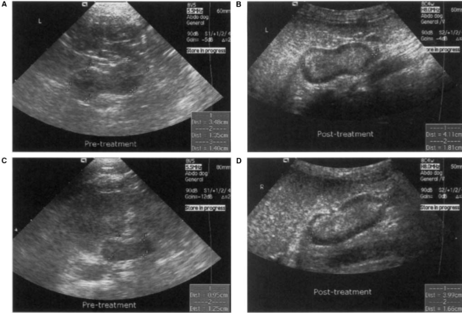 Bigger Glands, Better Control? Trilostane Therapy Enlarges Adrenals in ...