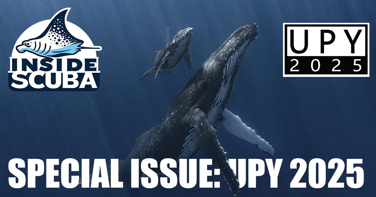 Winners of Underwater Photographer of the Year 2025