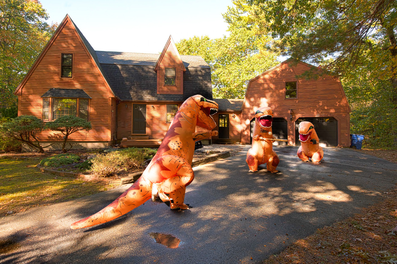 🏡: T-Rex Friendly Home For Sale