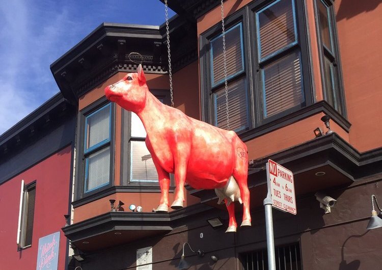 Holy Cow Has Closed Down