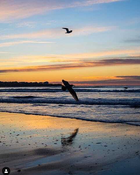 What's Up Newp Weekly Digest