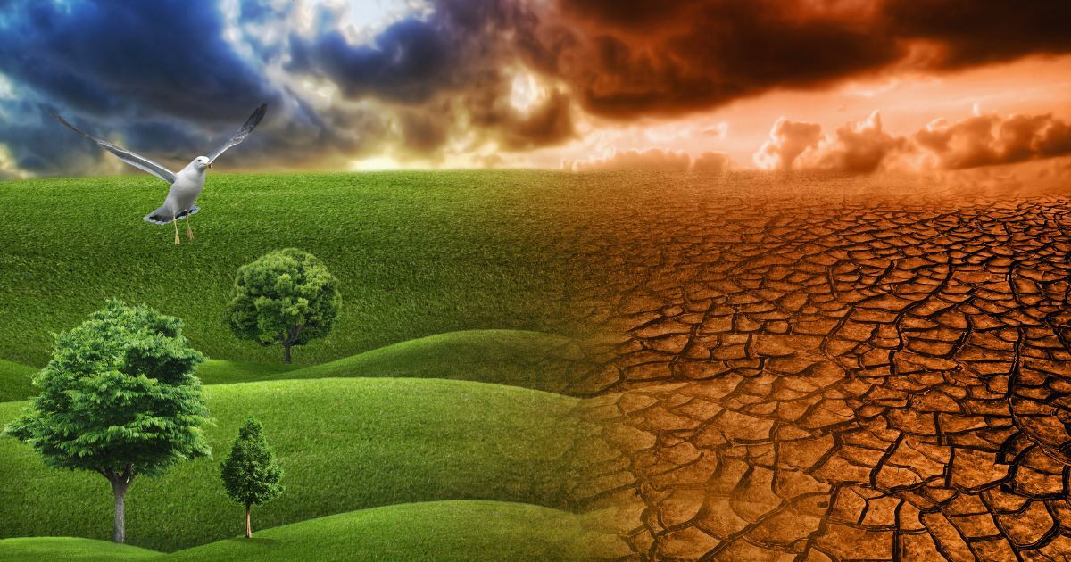The Great Climate Caper: Can We Outsmart a Warming Planet?