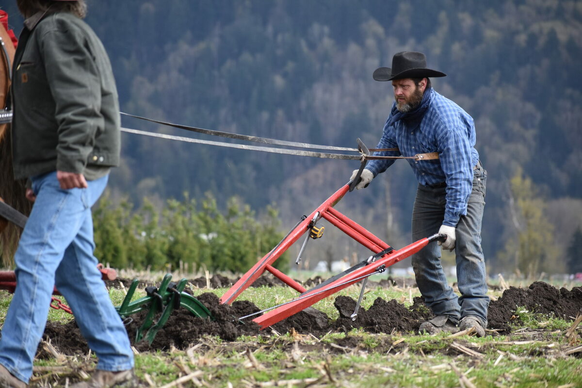 How to become a champion plower: lessons from the 100th Chilliwack ...