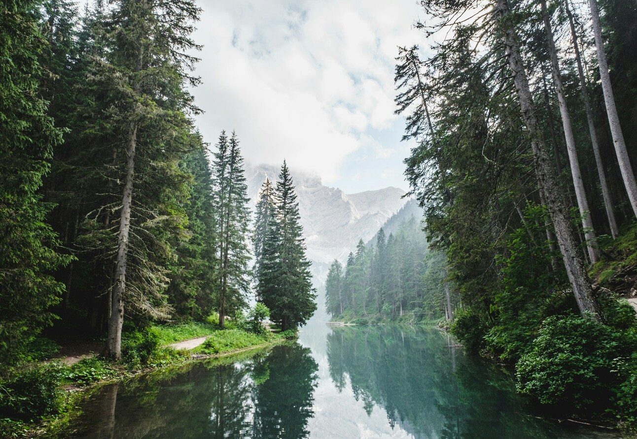 Is it actually worth being a B Corp?