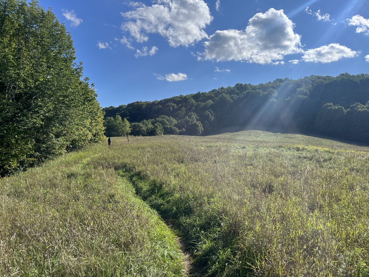 Appalachian Book Club