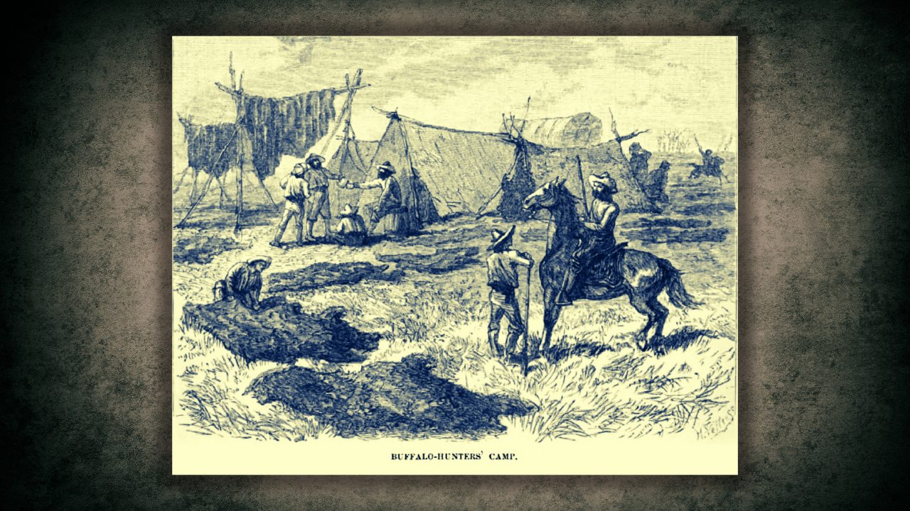 How Commercial Buffalo Hunting Worked