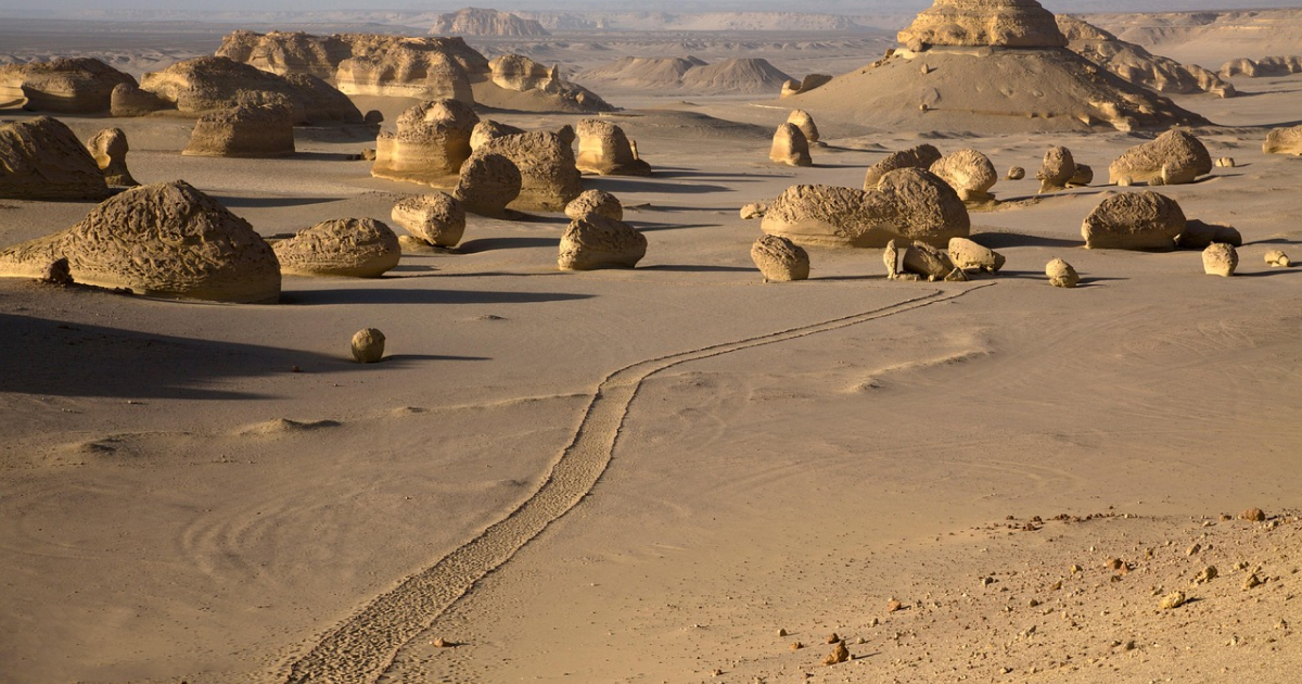 🎯 AI Unveils 5,000-year-old Hidden Society