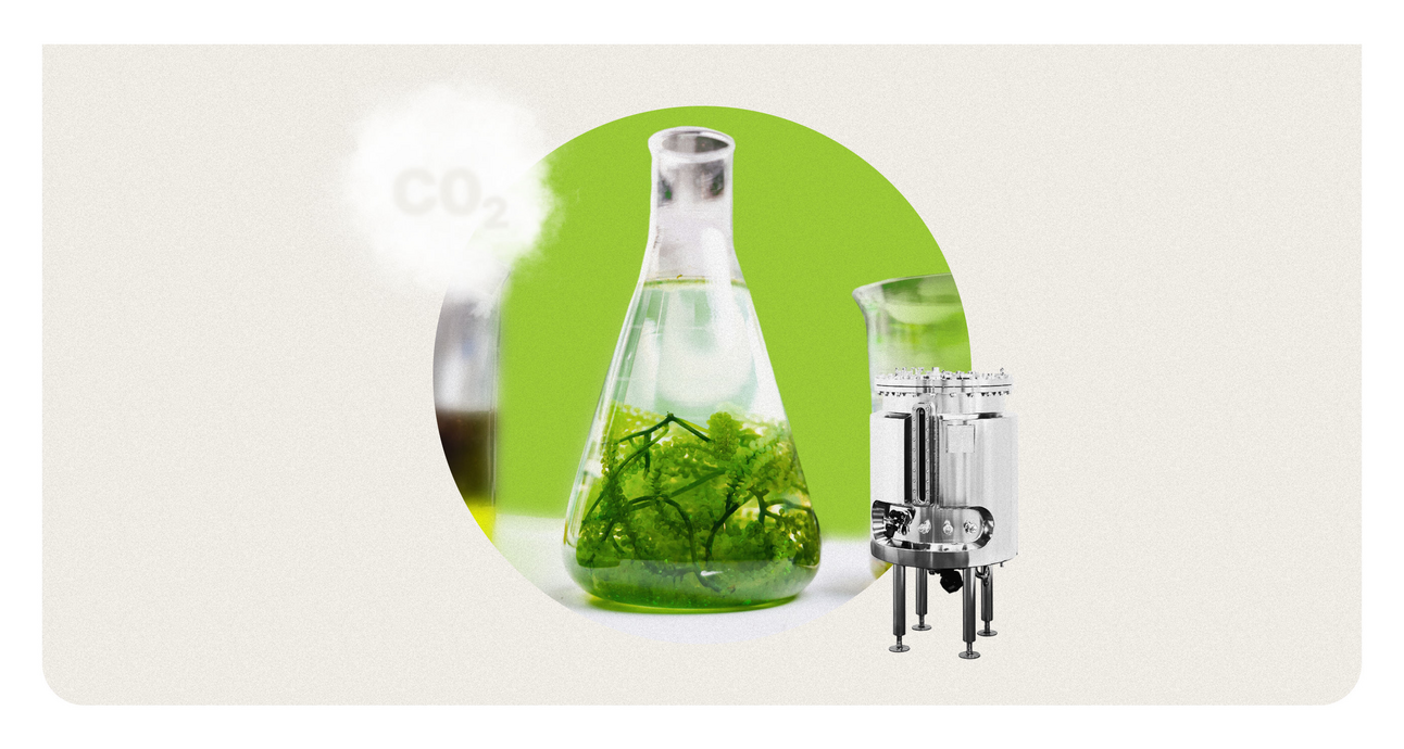 Green Chemicals: The companies developing sustainable chemicals