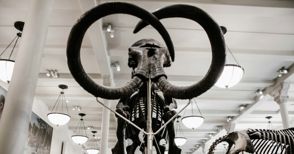 #26 | Fossils Of Woolly Mammoth Chromosomes Discovered