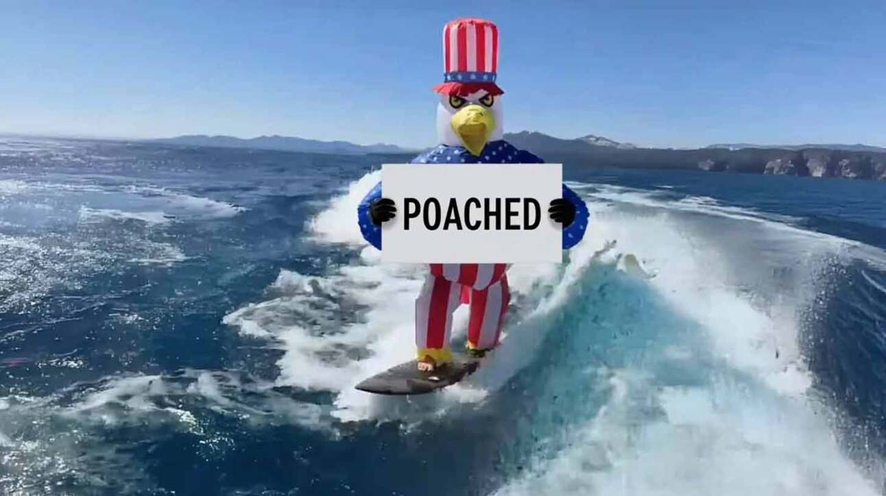 Meta poaching spree hits Apple | BARD AI