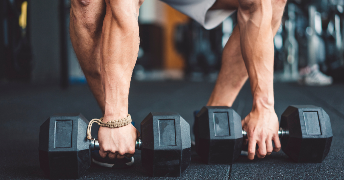 The P/P/L (Push/Pull/Legs) Split for Beginners so They Can Organize ...