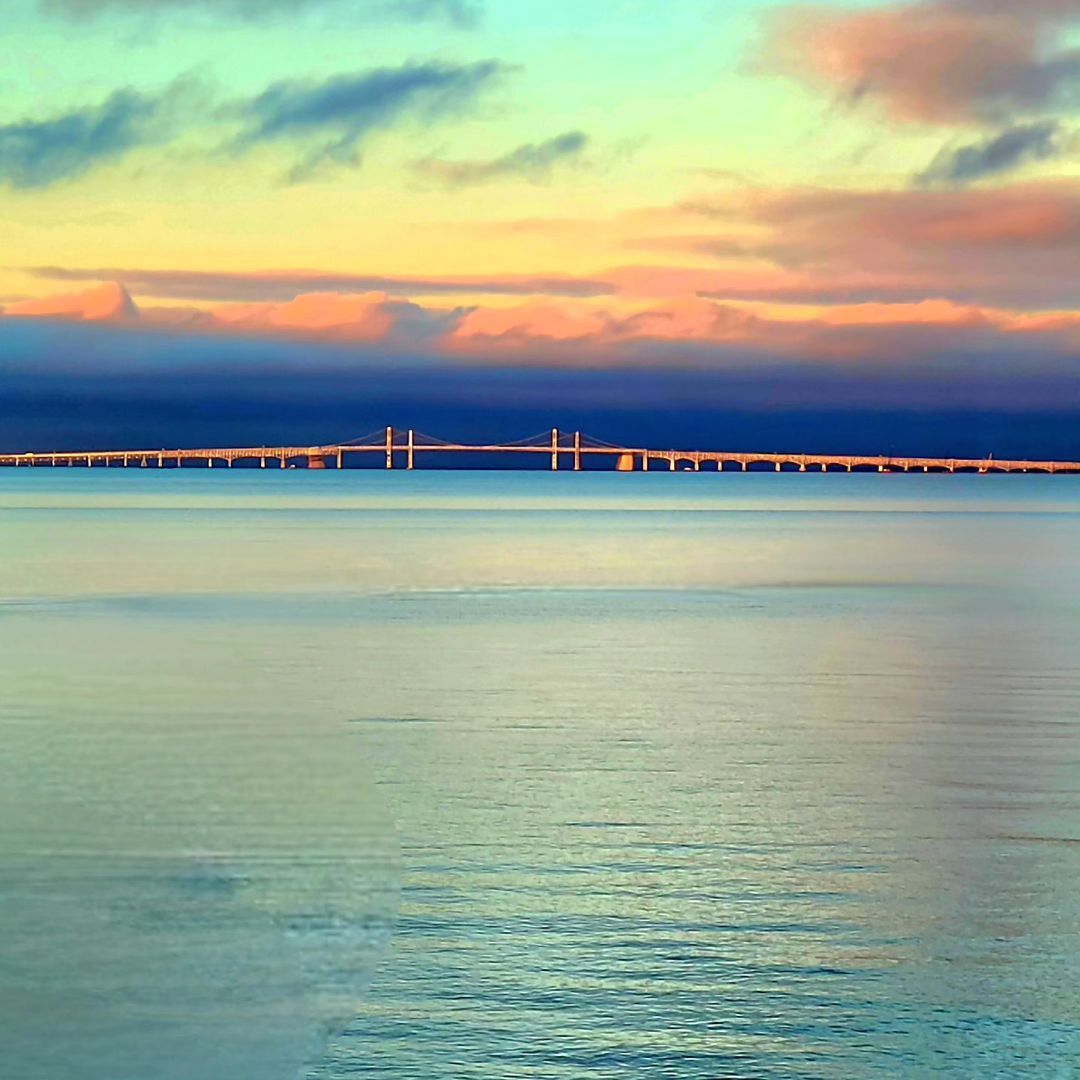 🍦Tractor Supply Co. coming to Edgewater