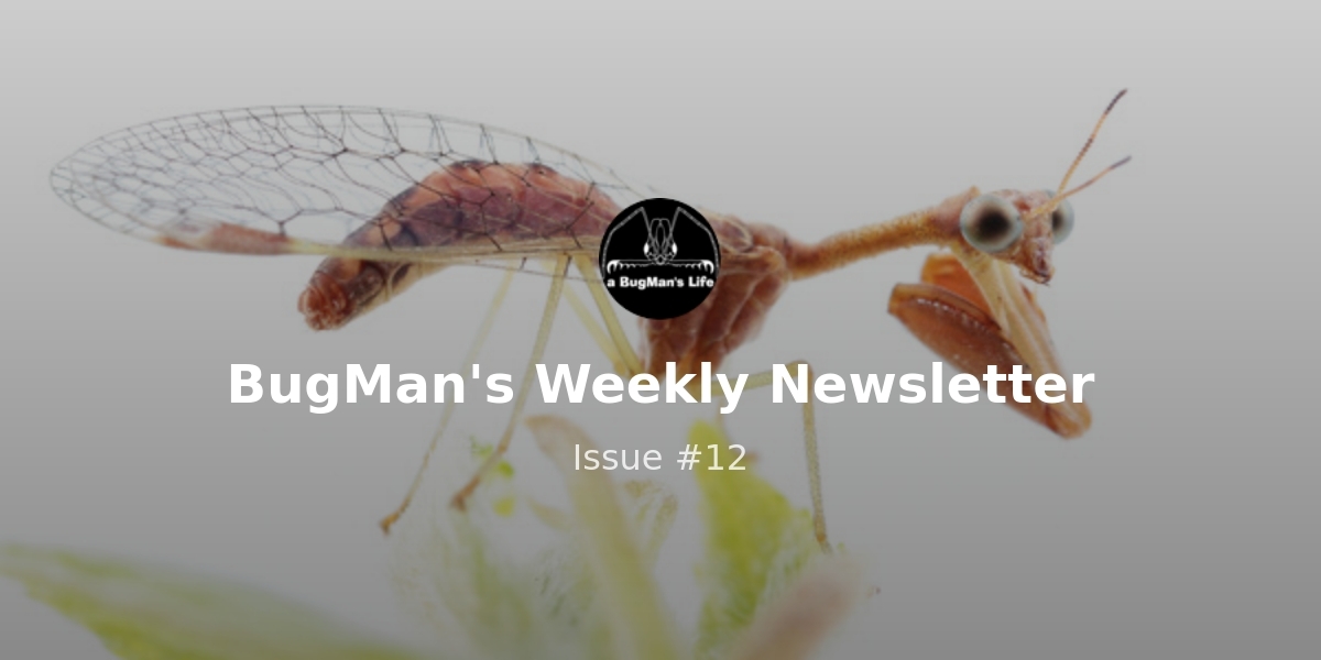 Surviving and thriving in winter - Issue #12