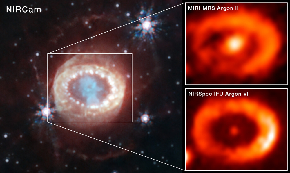 A supernova finally reveals its big secret: A neutron star at its heart