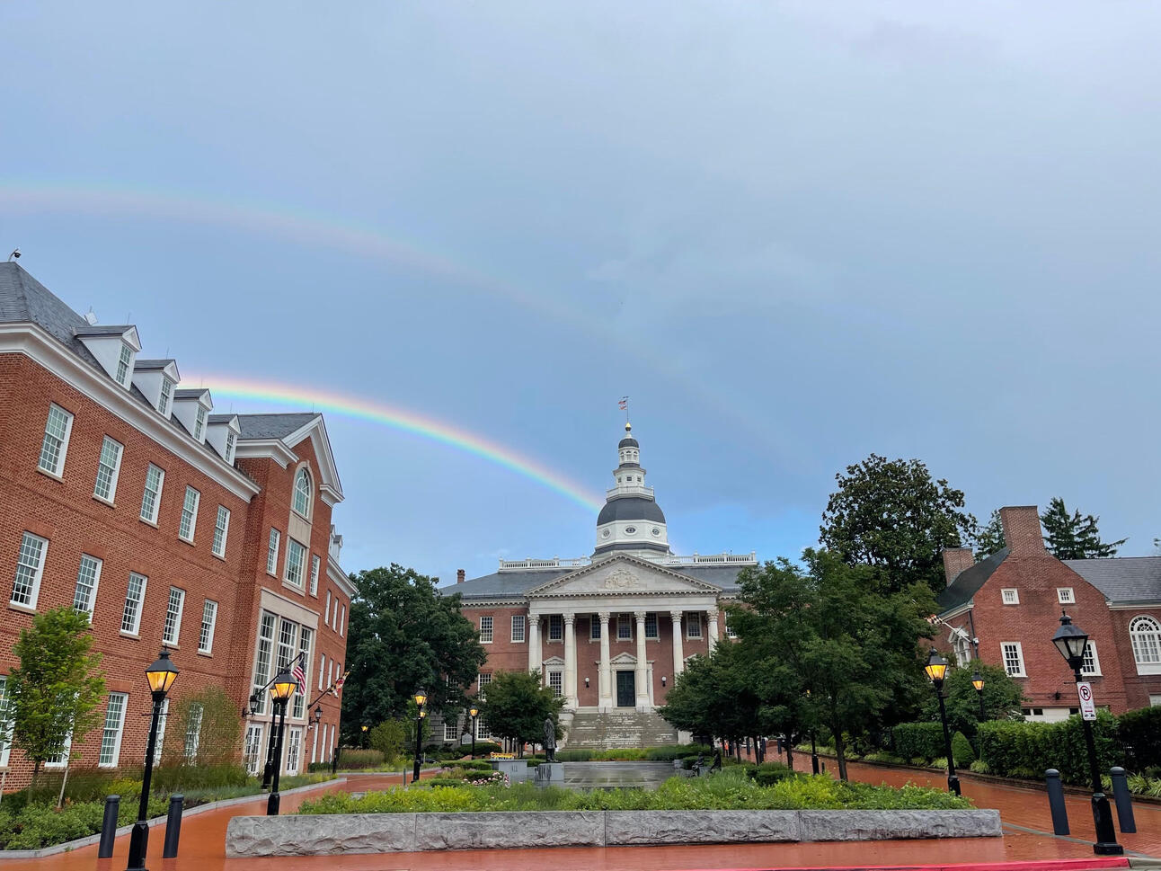 🍦Summer Concerts Roundup