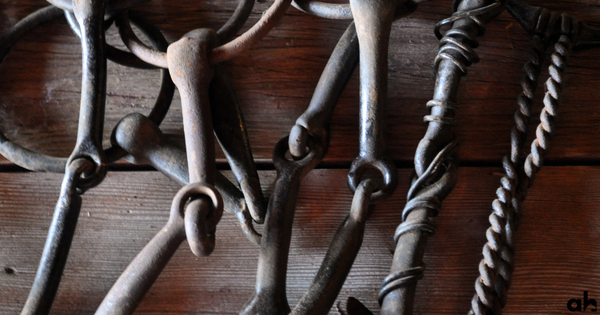 What Is A Horse Snaffle Bit? Types, Uses & Severity