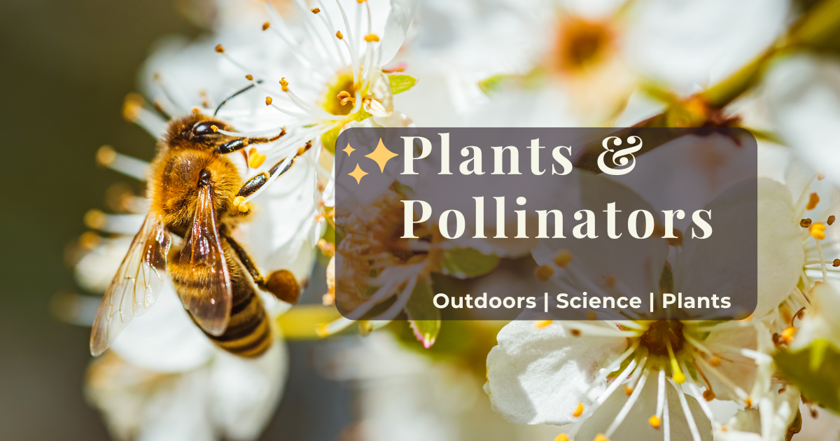 🌱 From Indian Spices to Flat Tires—Lessons in Unexpected Learning + Plant Pollination