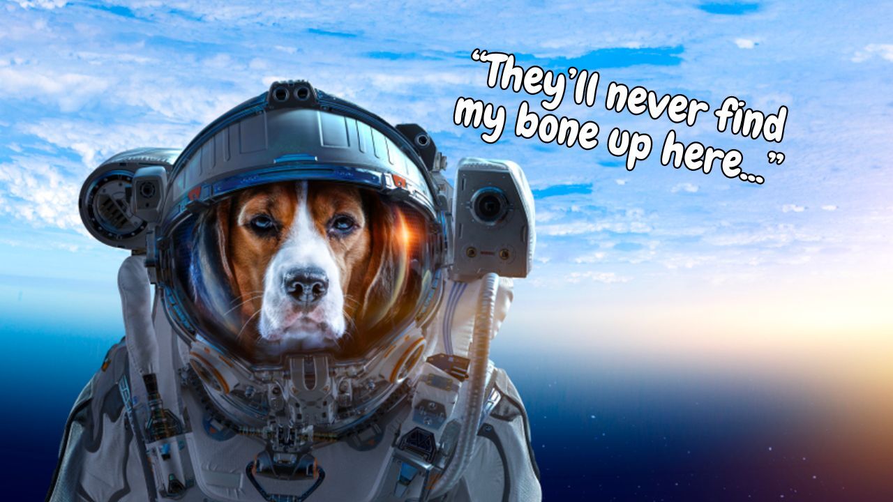 🪐 NASA Is Sending Dogs to Space