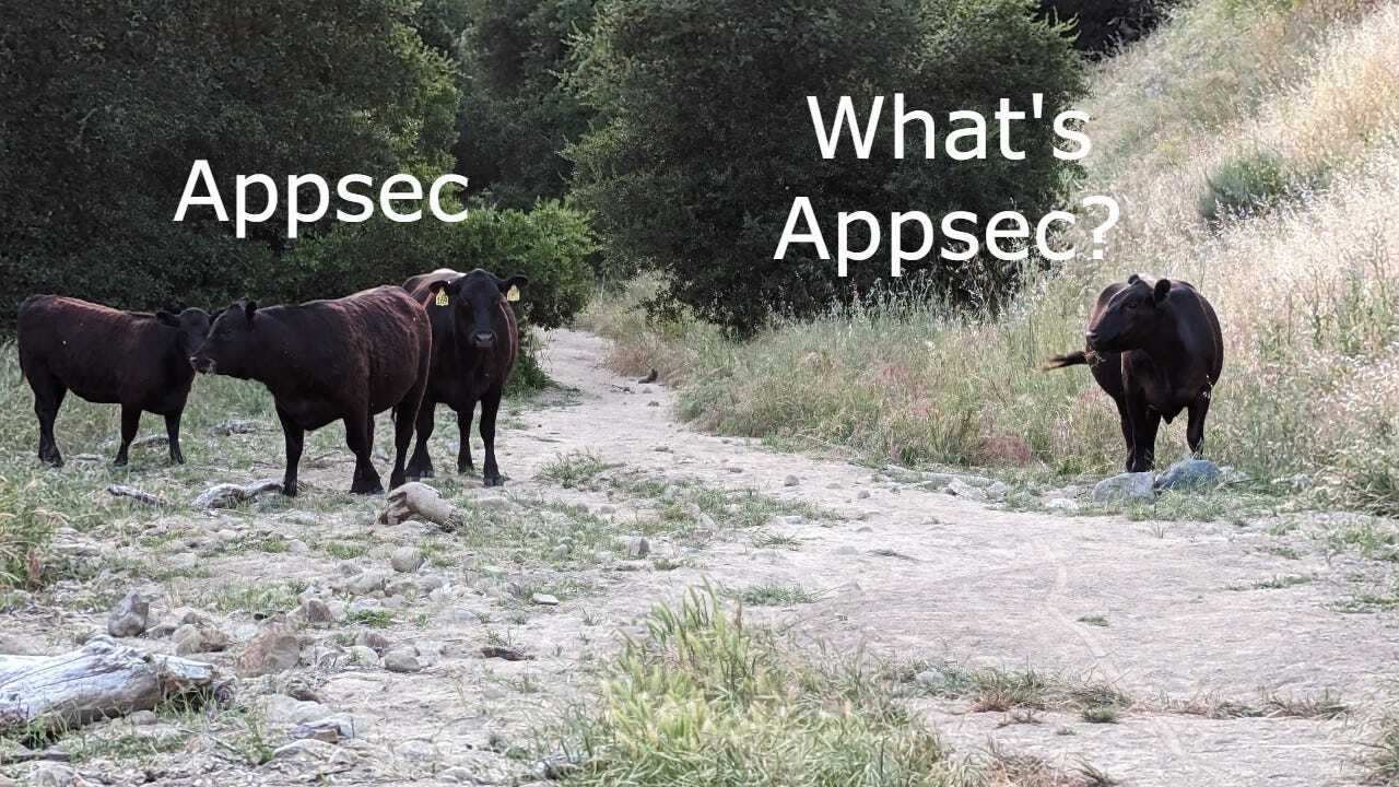 Getting Started With Appsec for SMBs