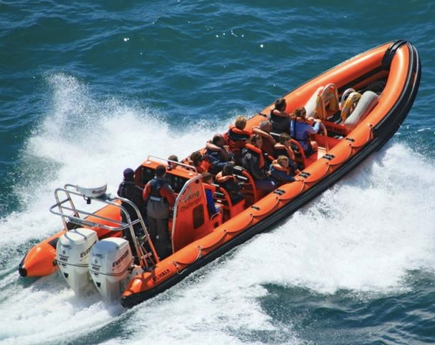 Days Out In Devon: Ilfracombe Sea Safari & Rod Stewart At Home Park