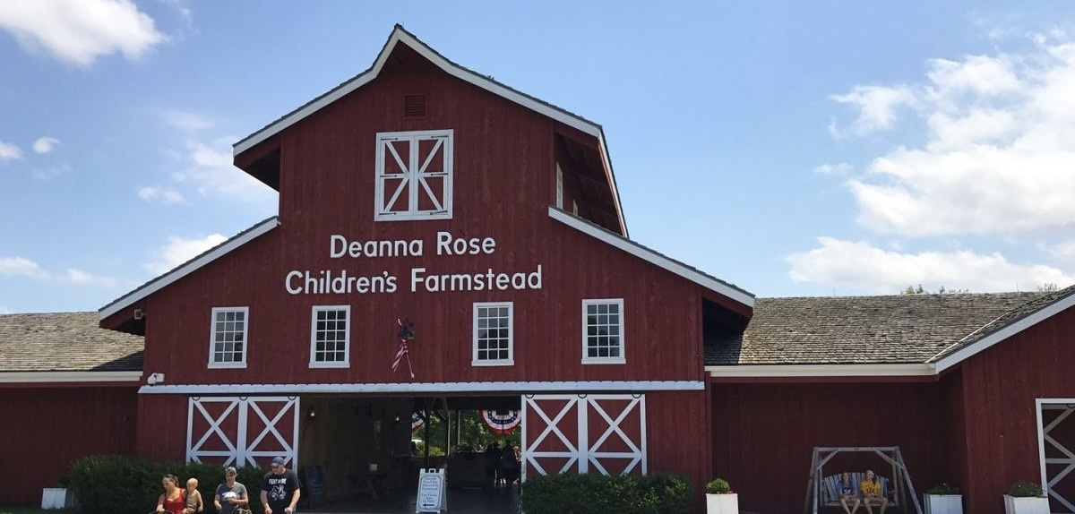 Life on the Farm 🐴