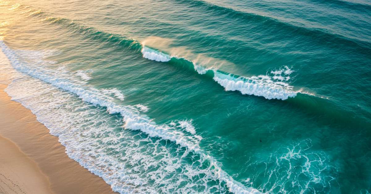 🌊 The Flex Staffing Wave Is Here – Is Your Practice Ready? + Fresh ...