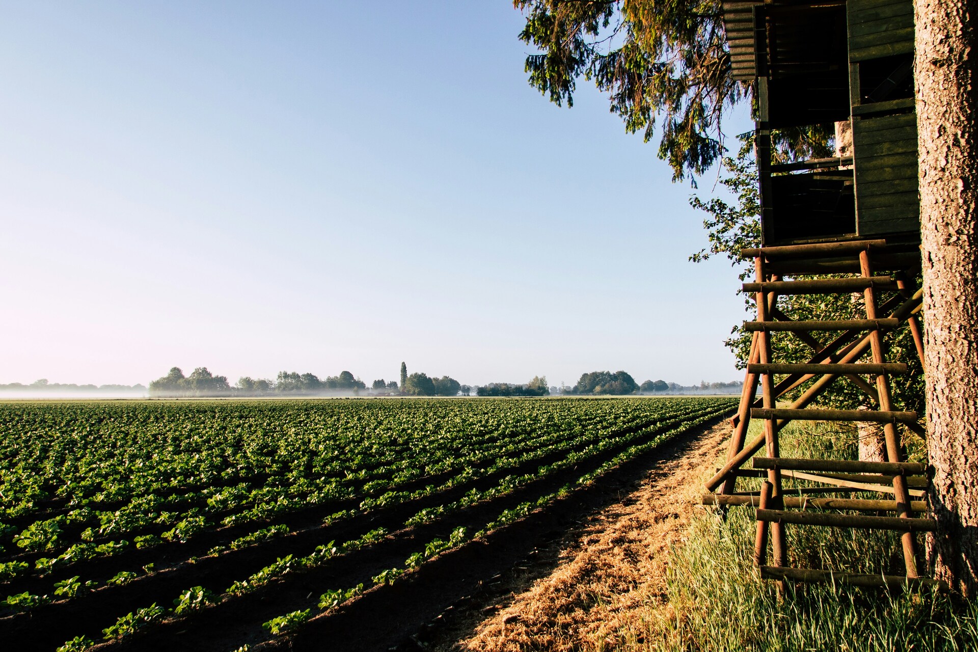 Agriculture labour shortage takes centre stage at Abbotsford show