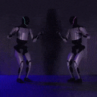 Tesla Bull & Bear Case