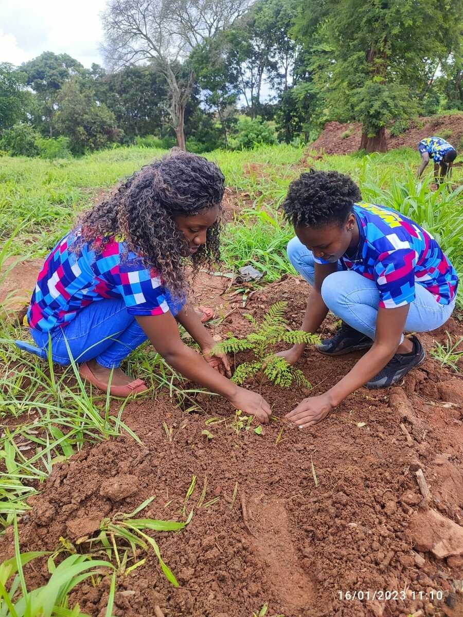 WOLREC Plants 6,000 Trees to Tackle Climate Change in Ntchisi
