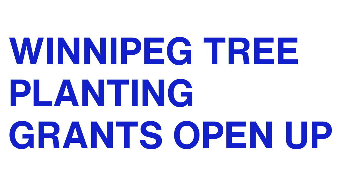 Winnipeg Tree Planting Grants Open Up