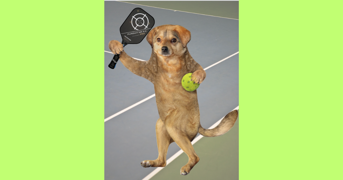 CAN DOGS PLAY PICKLEBALL?