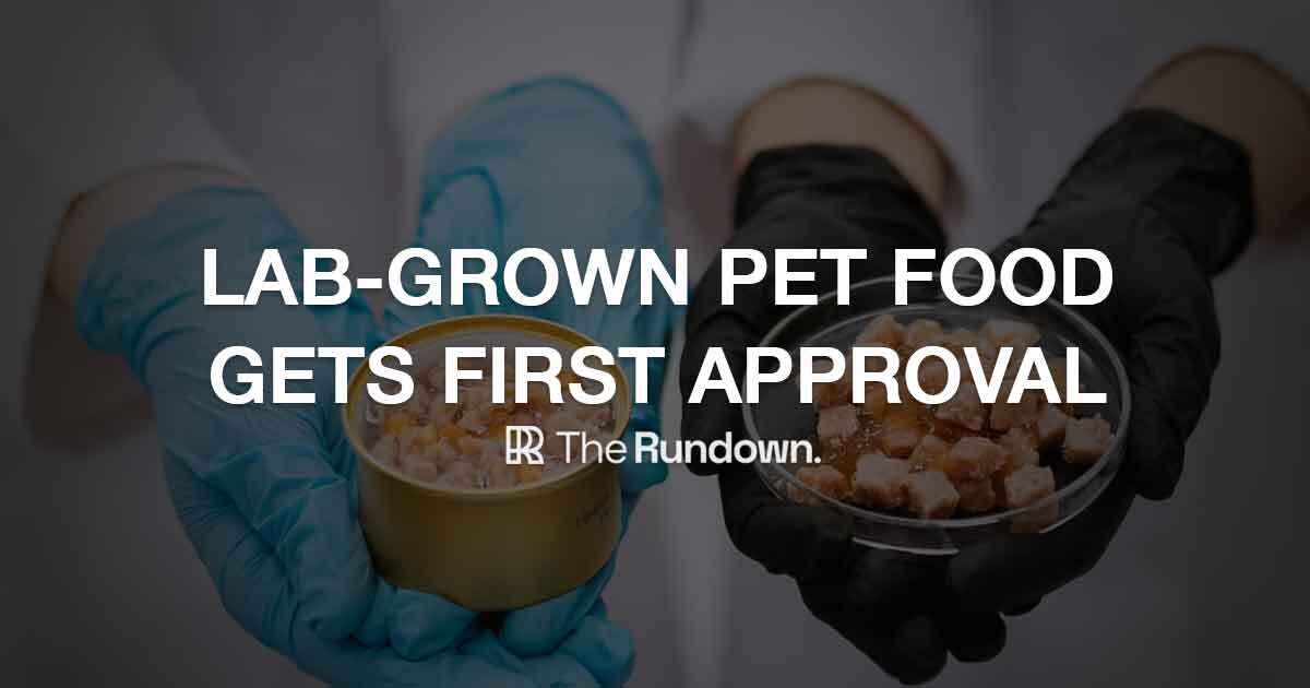 ⚡️ New tech: Lab-grown pet food meat?