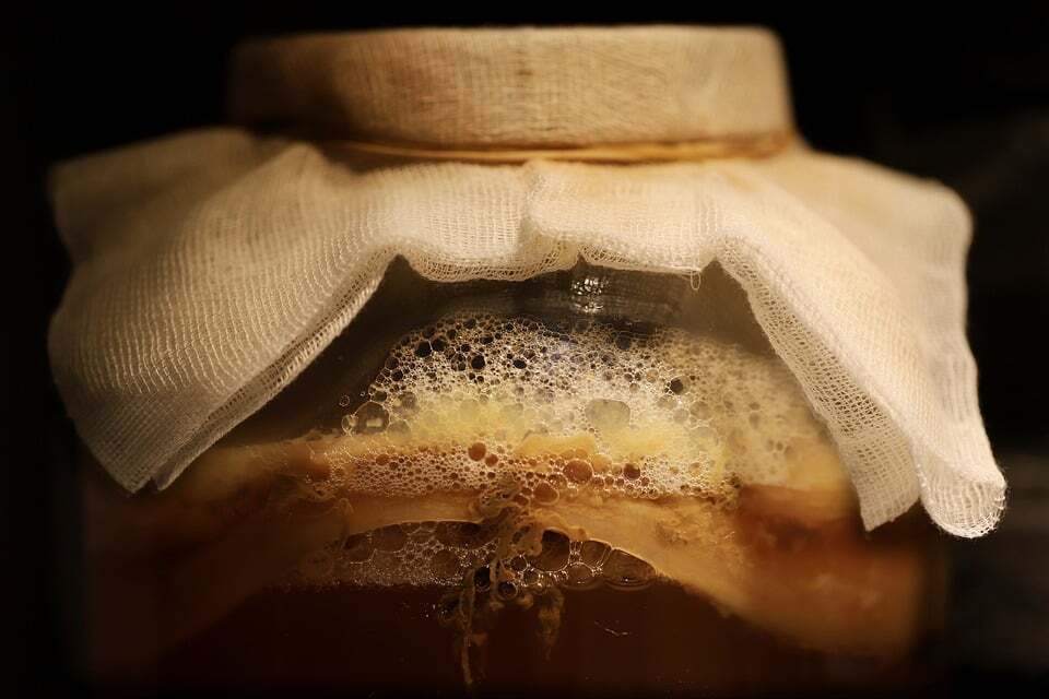 Top 10 DIY Fermentation Kits for Homebrewers: Craft Your Culinary Creations