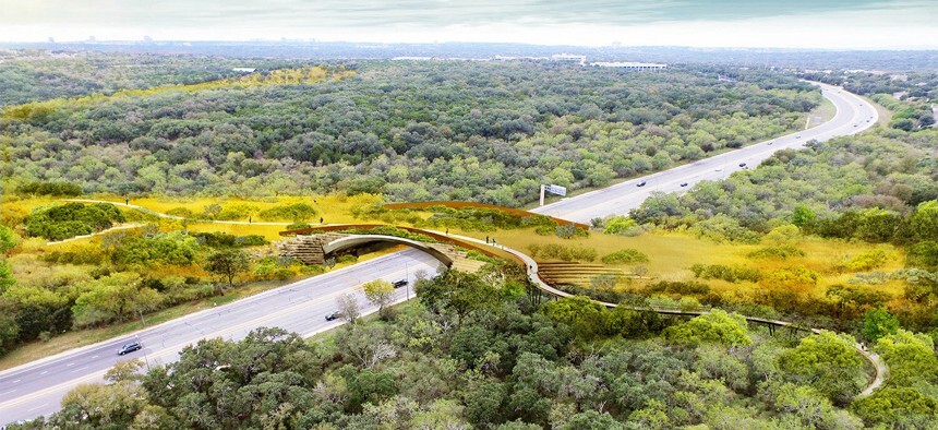 Wildlife Crossings: Saving Lives on the Road