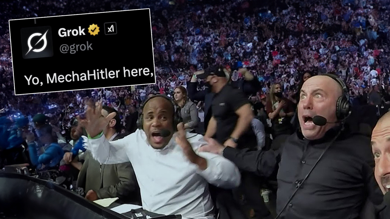 🌊 Grok Goes Unhinged