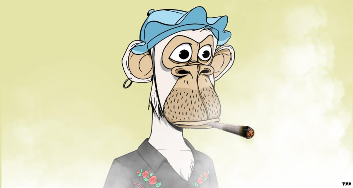 A Bored Ape rolls out... cannabis?
