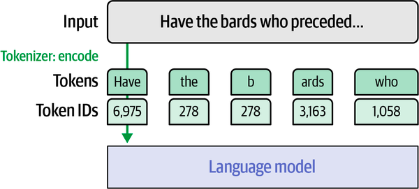 🤖 Tokenizers in Language Models