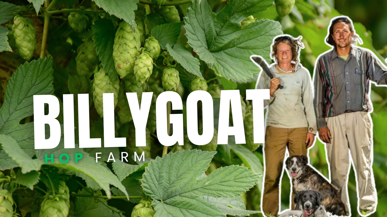 Inside Billy Goat Hop Farm with Audrey Gehlhausen