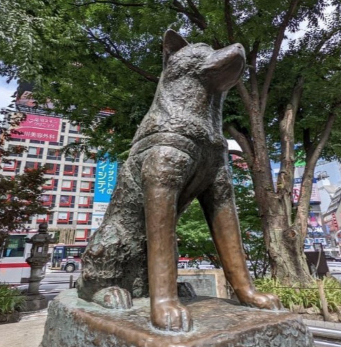 🐶 ️🐶 Hachiko: The True Story of the World's Most Loyal Dog 🐶 ️🐶