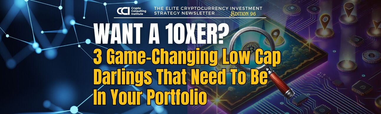 August 2024 - Want a 10xer? 3 Game-Changing Low Cap Darlings that need ...