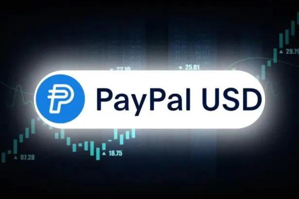 Maximizing Your Digital Transactions: A Guide to PayPal USD