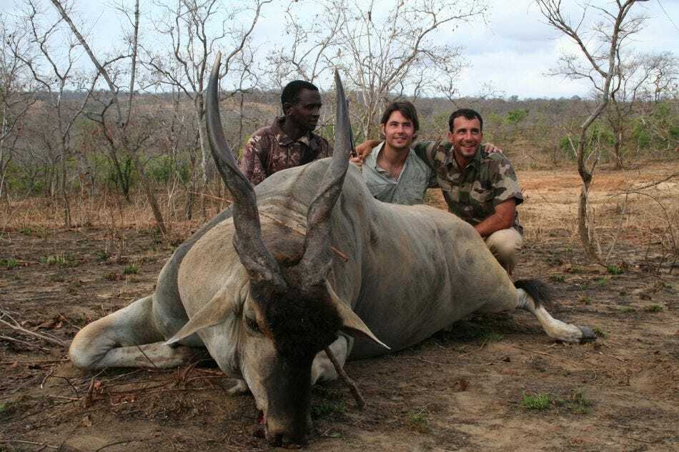 Zimbabwe to pay 100% of international hunting revenue to campfire ...